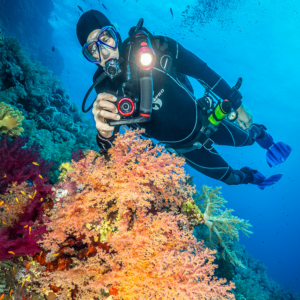 ReefMaster RM-4K - Underwater SeaLife