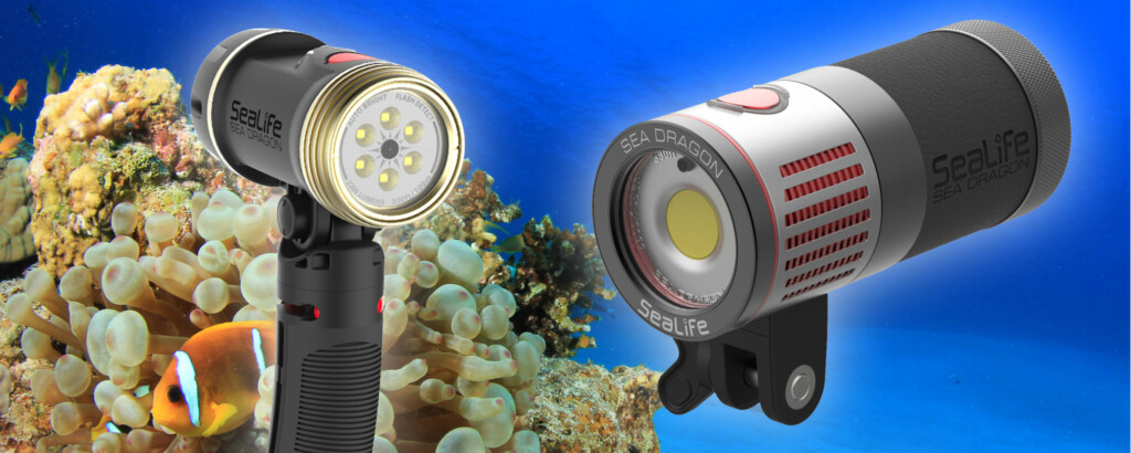 Why An Auto Underwater Camera Light | Do I Need An Automatic Light For ...
