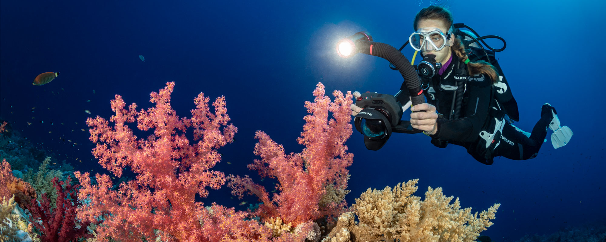 Preparing for Your Dive Photo Trip - Underwater SeaLife