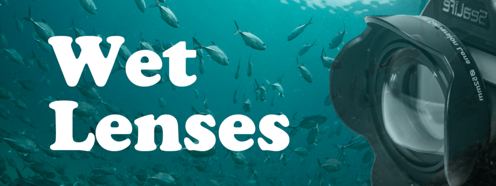 Guide to Underwater Wet Lenses - Underwater SeaLife