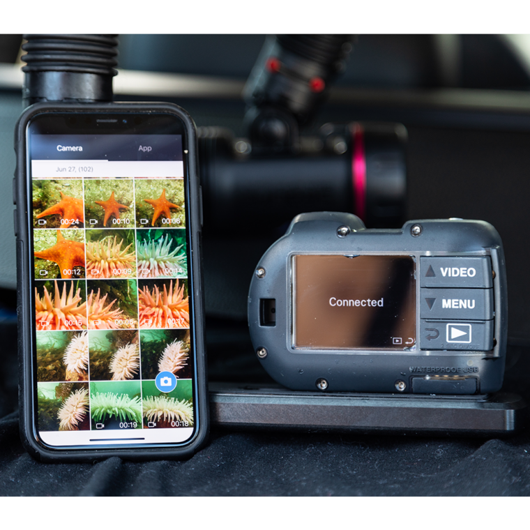 Micro 3.0 Underwater Camera - Underwater SeaLife