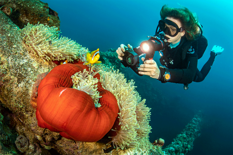 Micro 3.0 Underwater Camera - Underwater SeaLife