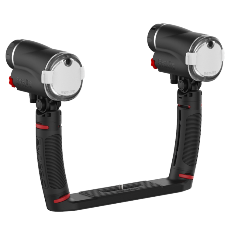 Sea Dragon Duo Flash Set - Underwater SeaLife