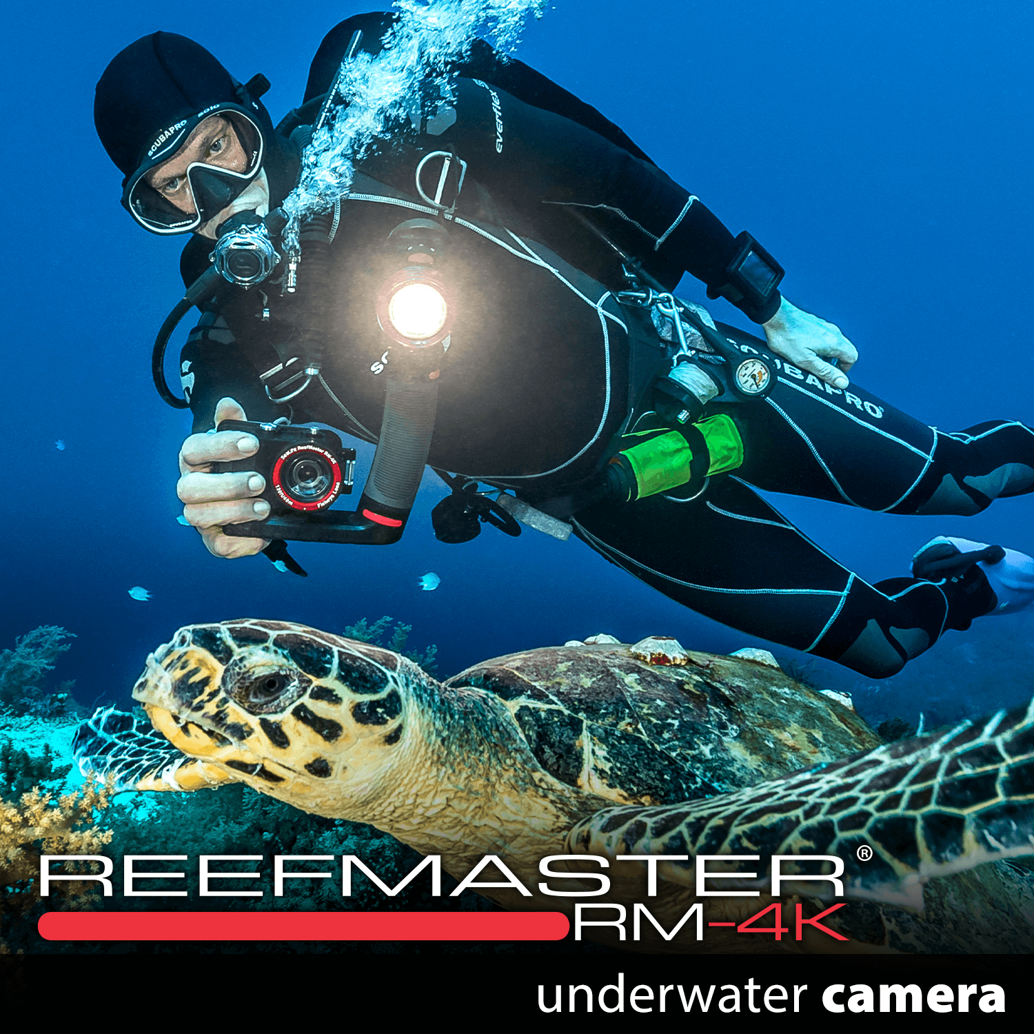 Underwater SeaLife - Best Underwater Digital Camera and Lighting
